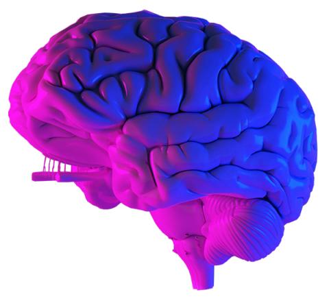 Neuroradiology Education - The Cortex Club